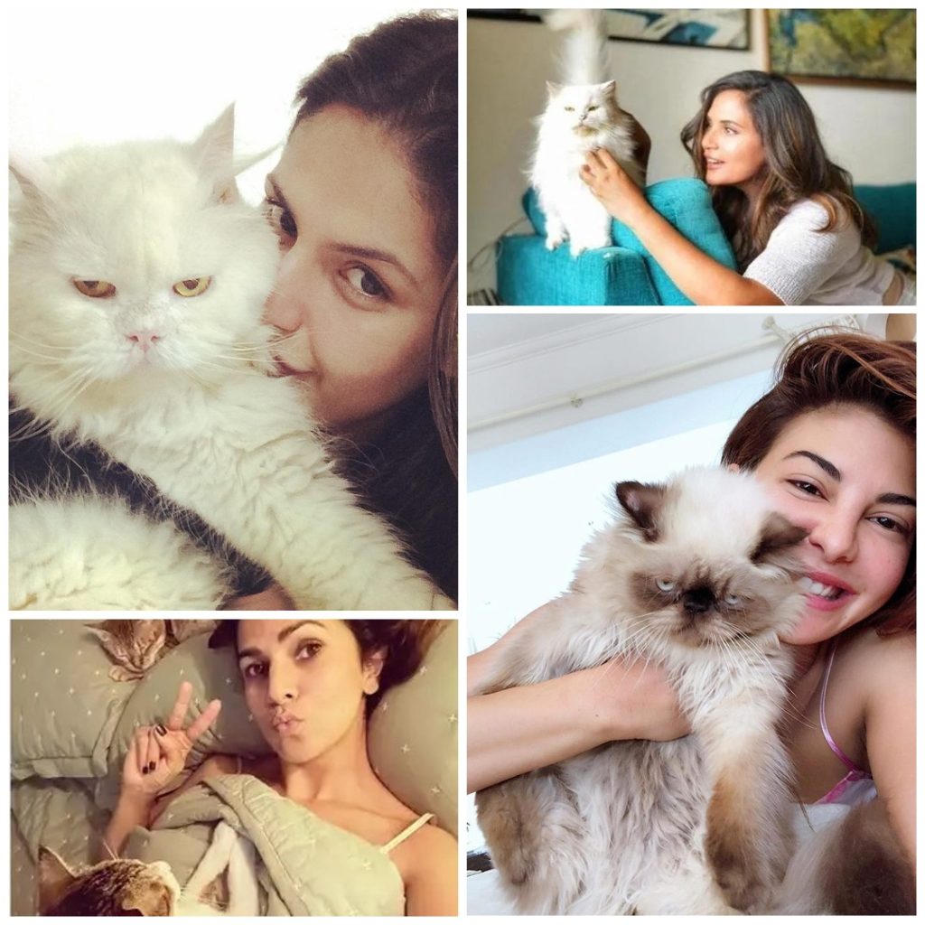 International Cat Day: Four actresses who’re proud cat moms - Bollywood ...